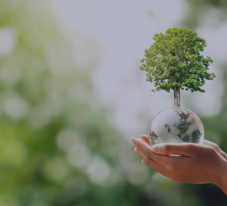 Assistance maîtrise d'ouvrage GMAO (MAINTA)